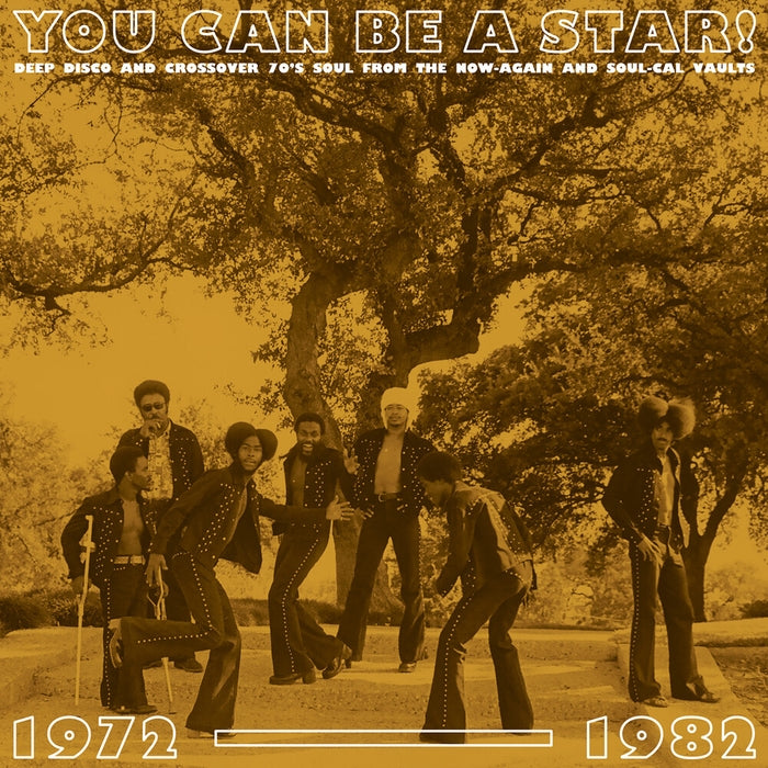 Various – You Can Be A Star: Deep Disco & Crossover 70s Soul From The ...